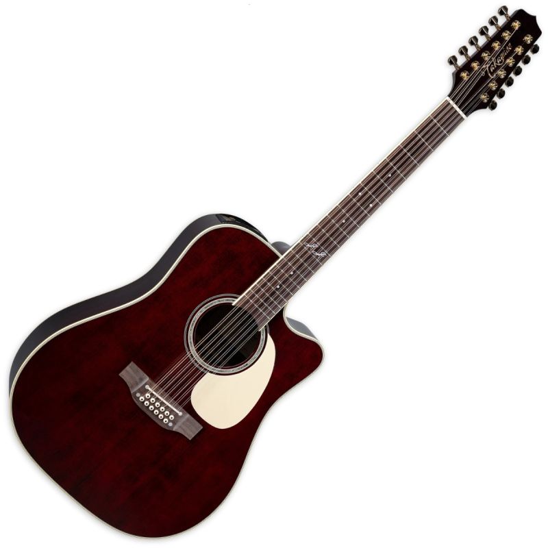 Takamine JJ325SRC-12 John Jorgenson 12 String Acoustic Guitar | 6 ...