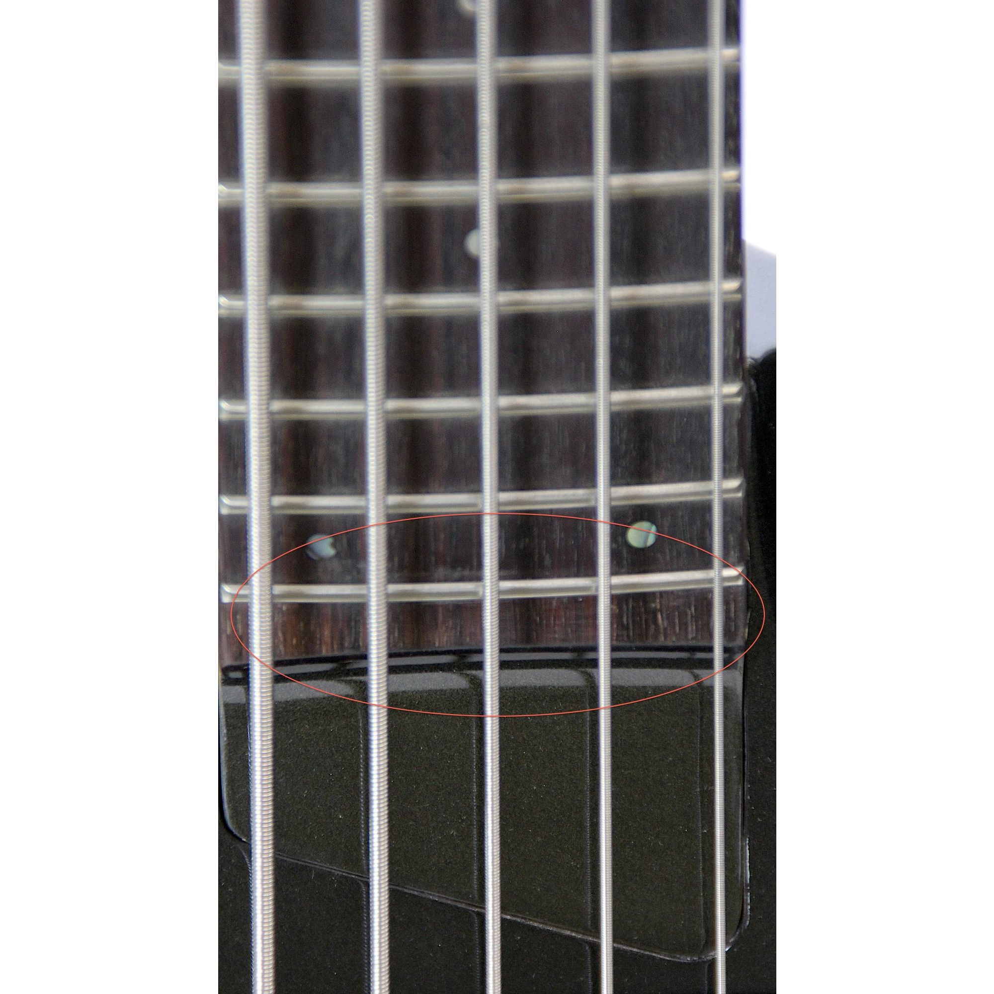 ESP LTD F-205 BGO SAMPLE/PROTOTYPE 5 String Electric Bass Guitar