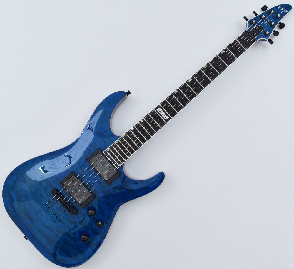 ESP USA Horizon Electric Guitar in See Thru Blue EMG | 6-String.com